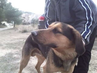 Cuko | PPT | Free Download