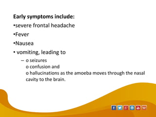 Warm Weather Signals Danger of Brain-Eating Amoeba | PPT
