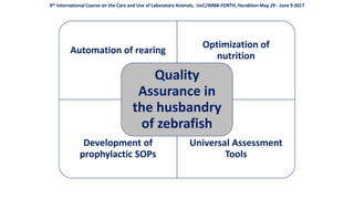 Zebrafish: Husbandry requirements | PPTX