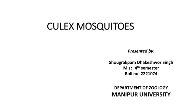CULEX MOSQUITOES, SYSTEMATIC CLASSIFICATION, MORPHOLOGY, LIFE CYCLE ...