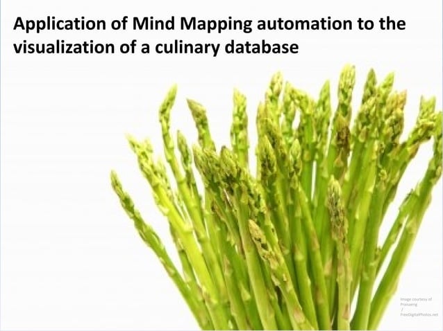 Mind Mapping automation in the visualization of recipes of a culinary ...