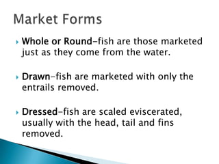 Culinary lecture (fish) | PPTX
