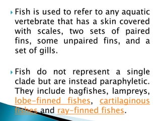 Culinary lecture (fish) | PPTX | Fish and Aquariums | Pets