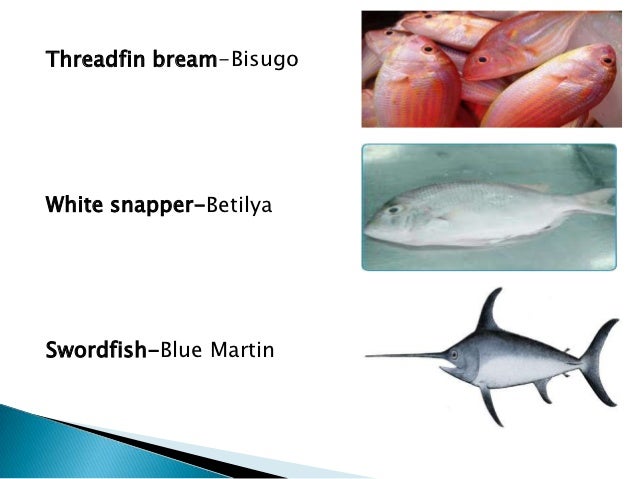 Culinary lecture (fish)