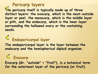 Culinary lecture (fruits) | PPTX