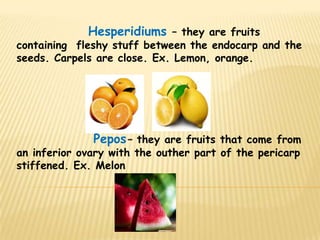 Culinary lecture (fruits) | PPTX