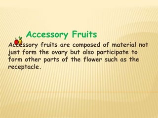Culinary lecture (fruits) | PPTX