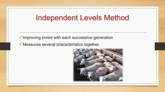 Culling of sheep and goat | PPTX | Veterinary Medicine | Pets