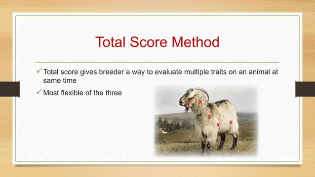 Culling of sheep and goat | PPTX | Veterinary Medicine | Pets