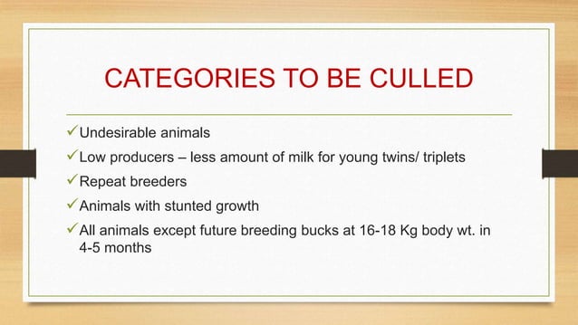 Culling of sheep and goat | PPTX | Veterinary Medicine | Pets