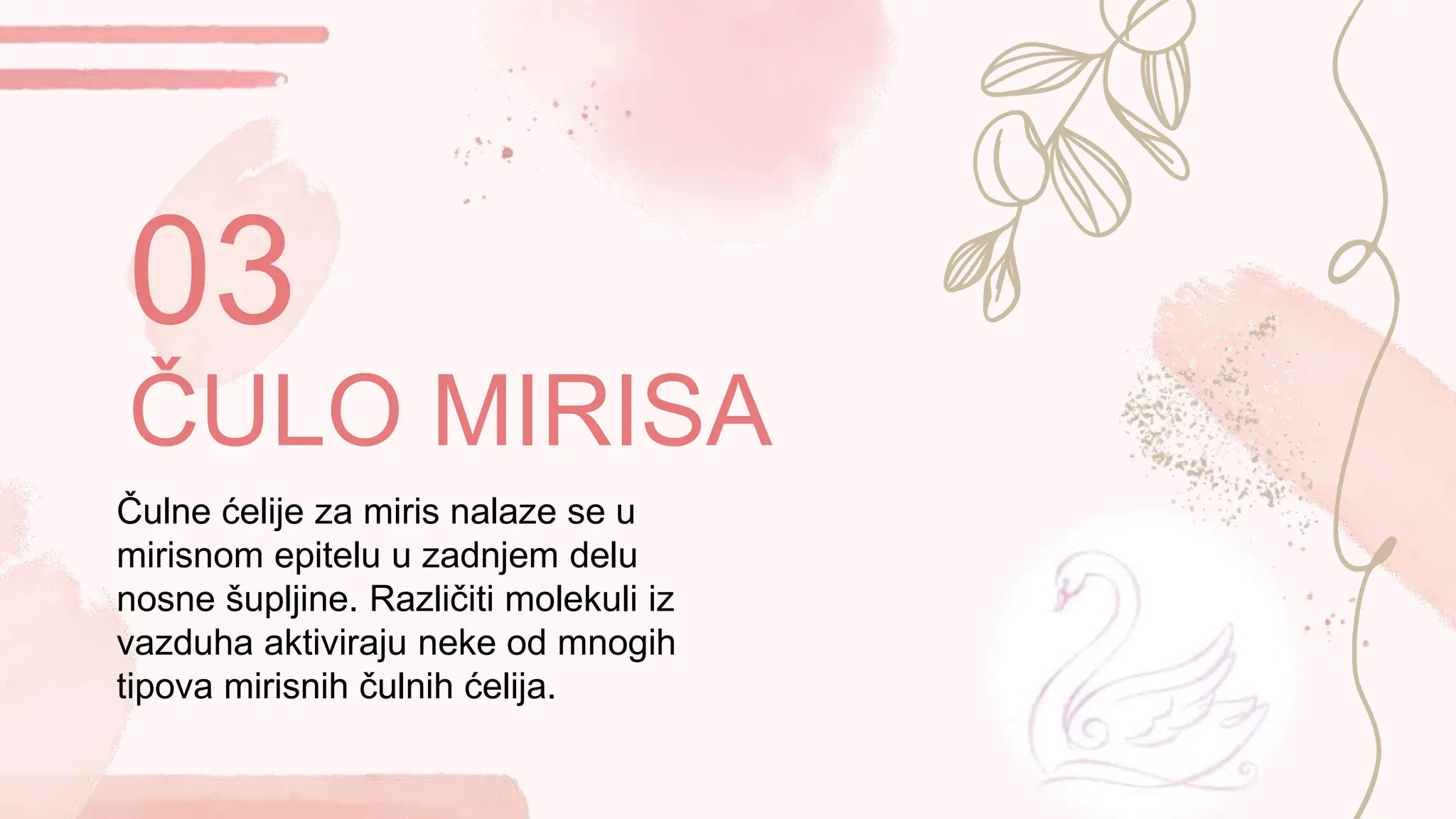 culni organi u kozi, culo ukusa i mirisa.pptx