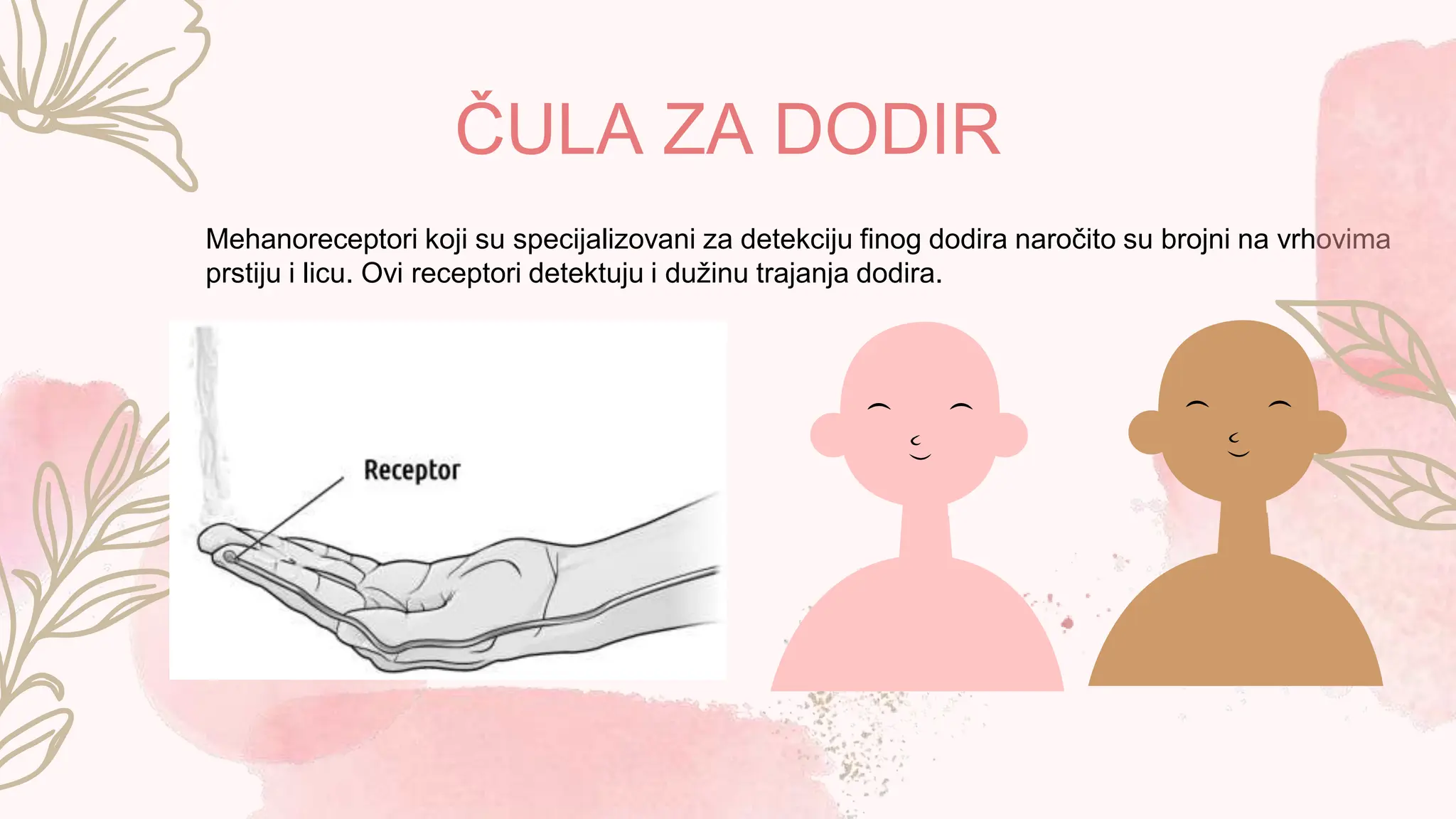 culni organi u kozi, culo ukusa i mirisa.pptx