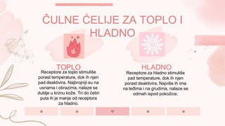 culni organi u kozi, culo ukusa i mirisa.pptx