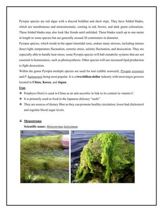 Cultivable coastal water species of Fishes, Crustaceans, Mollusks ...