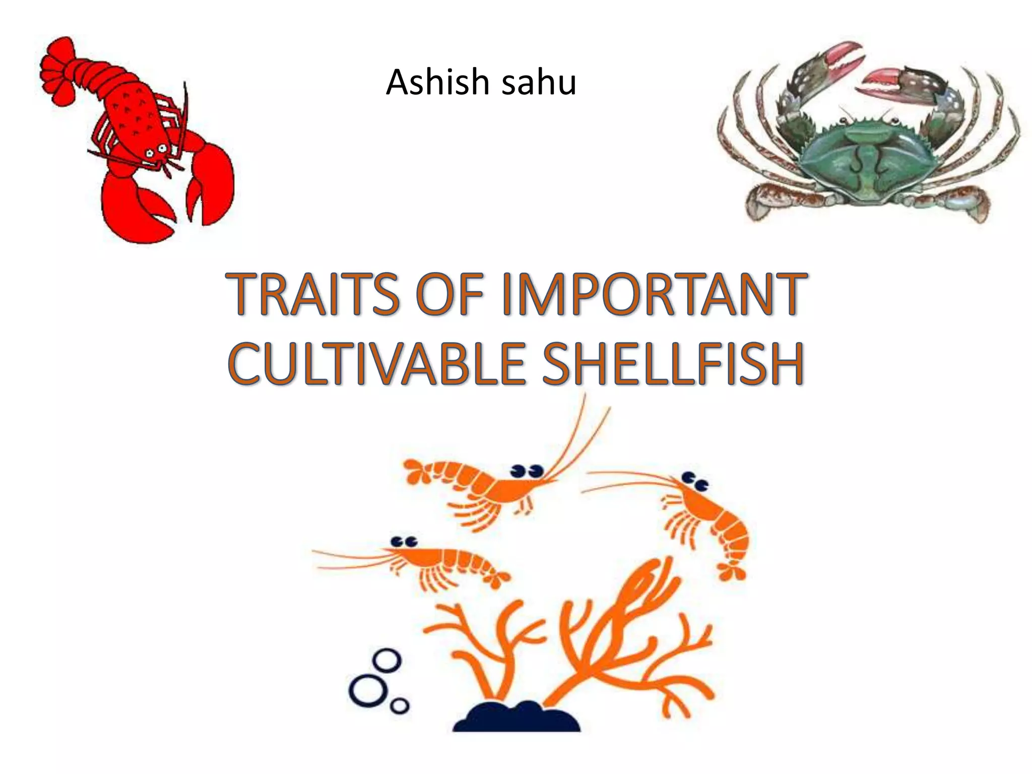Cultivable shellfish | PPT