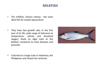 Cultivable species of fin fishes | PPT