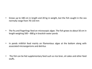 Cultivable species of fin fishes | PPT