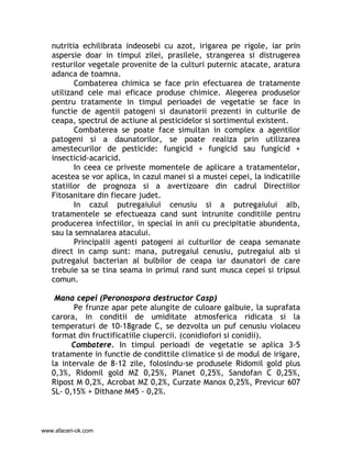 Cultivarea cepei | PDF