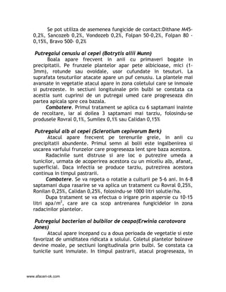 Cultivarea cepei | PDF