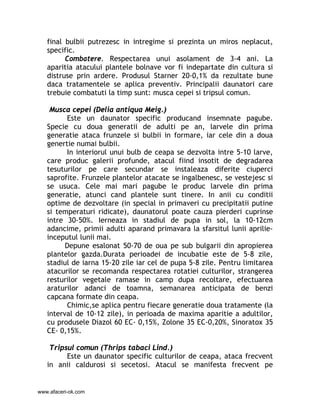 Cultivarea cepei | PDF