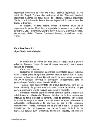 Cultivarea cepei | PDF