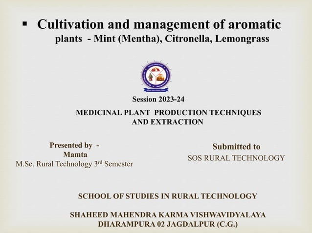 CULTIVATE MANAGEMENT OF AROMATIC PLANT (MINT LEMON Grass).pptx ...