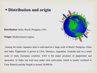 CULTIVATE MANAGEMENT OF AROMATIC PLANT (MINT LEMON Grass).pptx