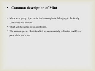 CULTIVATE MANAGEMENT OF AROMATIC PLANT (MINT LEMON Grass).pptx