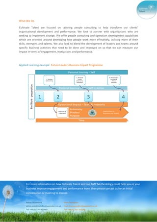 Cultivate Talent AMP Brochure | PDF