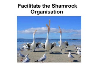 Cultivating Crucial Connections | PPT