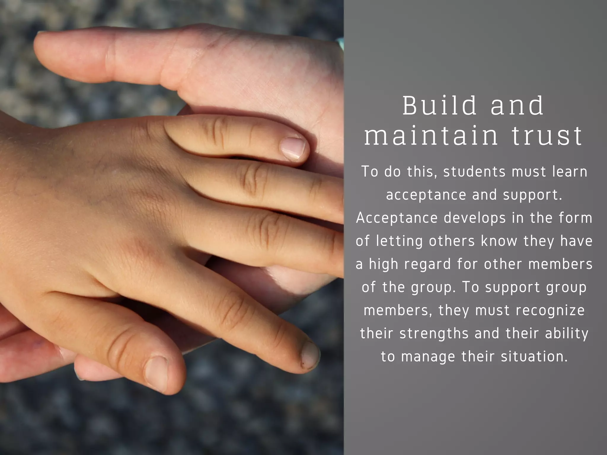 Cultivating Student Leadership in the Classroom | PDF