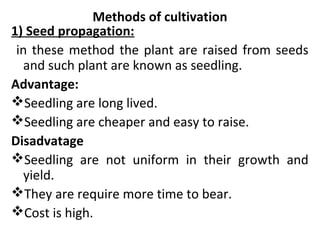 Cultivation | PPT