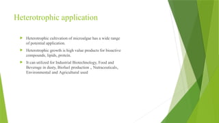Raceway ponds - Mixotrophic and heterotrophic cultivation of microalgae ...