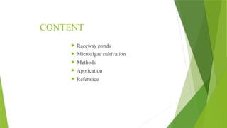 Raceway ponds - Mixotrophic and heterotrophic cultivation of microalgae ...