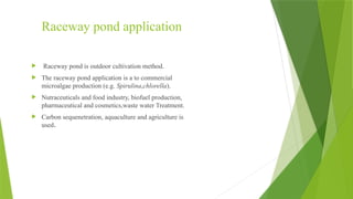Raceway ponds - Mixotrophic and heterotrophic cultivation of microalgae ...