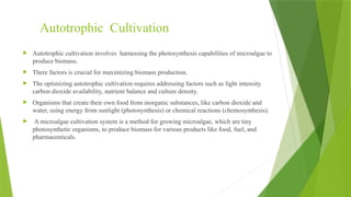 Raceway ponds - Mixotrophic and heterotrophic cultivation of microalgae ...