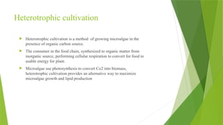 Raceway ponds - Mixotrophic and heterotrophic cultivation of microalgae ...