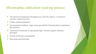 Raceway ponds - Mixotrophic and heterotrophic cultivation of microalgae ...