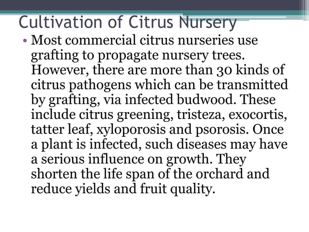 Cultivation of-citrus-nursery | PPT