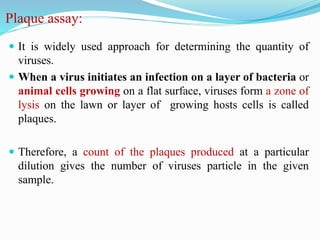 Cultivation and assay of viruses | PPTX