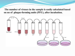 Cultivation and assay of viruses | PPTX | Infertility | Reproductive Health