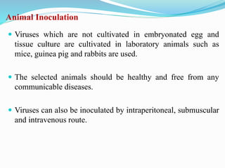 Cultivation and assay of viruses | PPTX
