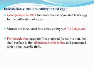 Cultivation and assay of viruses | PPTX