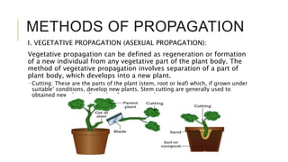 Cultivation and collection of drugs of natural origin | PPT