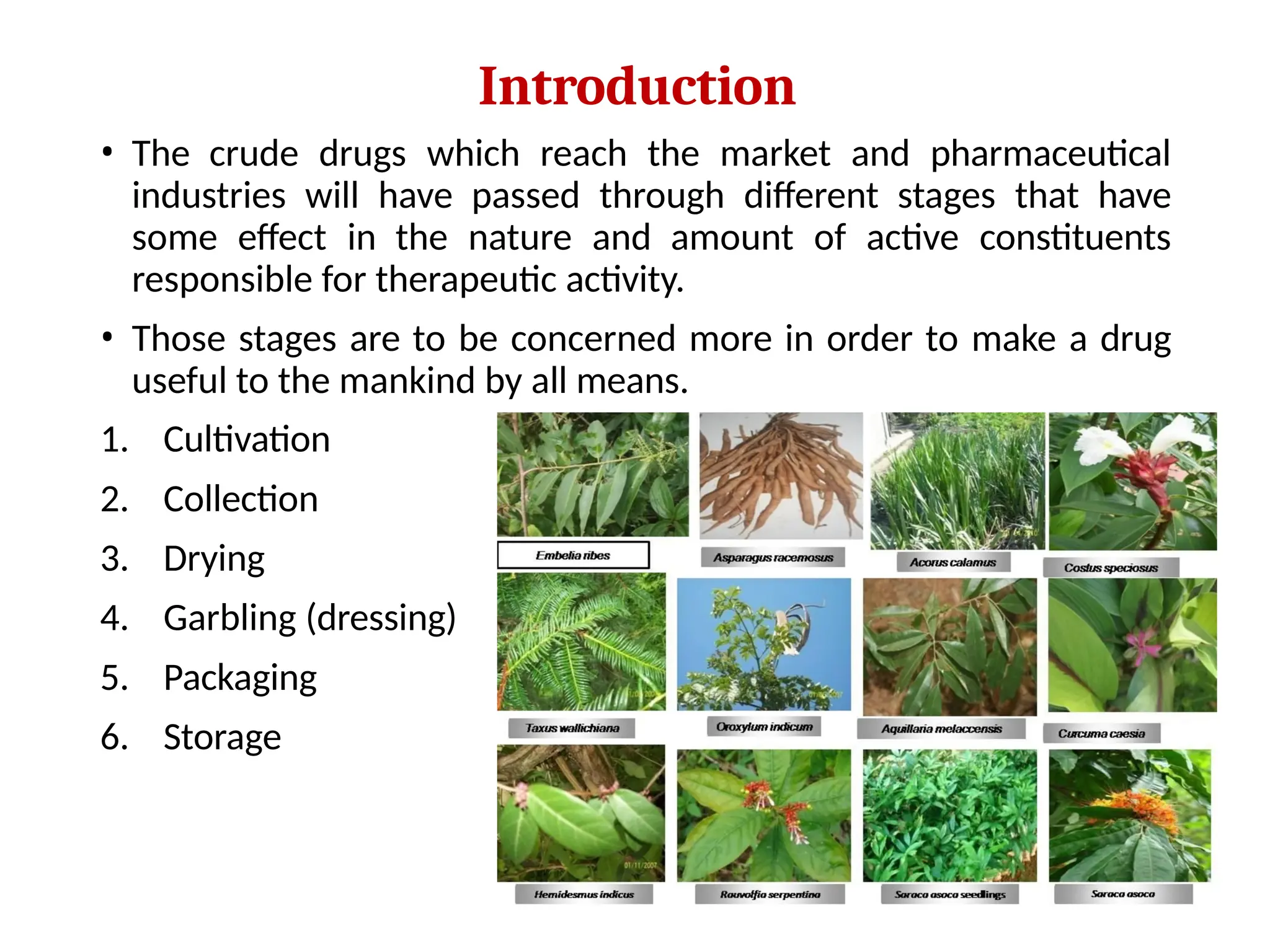 cultivation and collection of drugs of natural origin.pptx