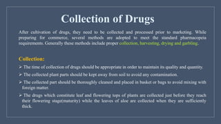 Cultivation and collection of drugs of natural origin | PDF