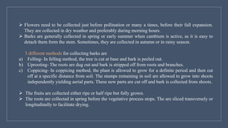 Cultivation and collection of drugs of natural origin | PDF