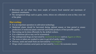 Cultivation and collection of drugs of natural origin | PDF