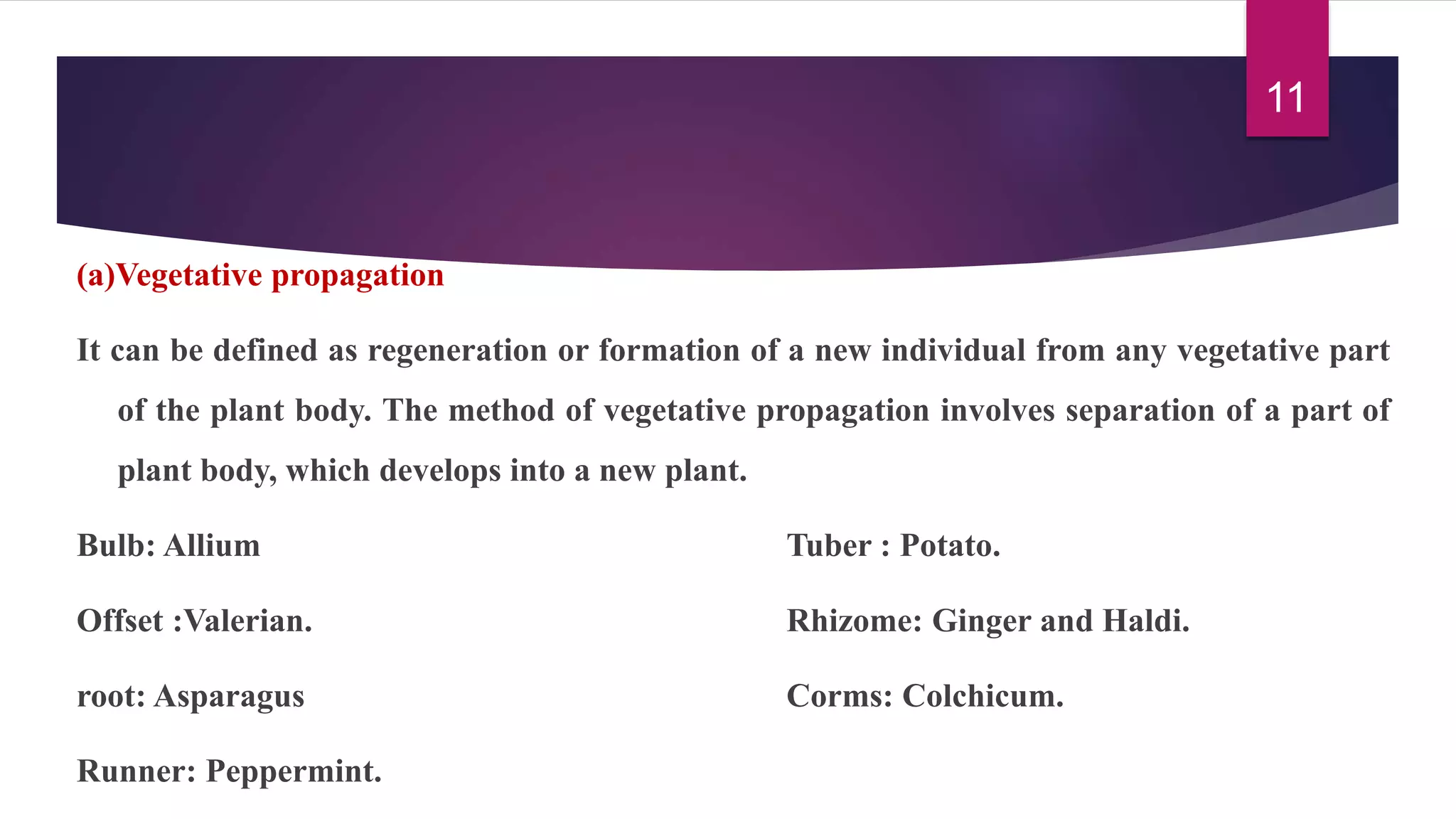 Cultivation and collection of medicinal plant | PPTX
