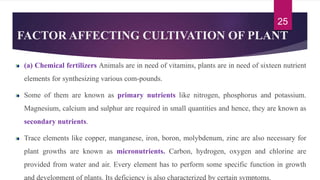Cultivation and collection of medicinal plant | PPTX